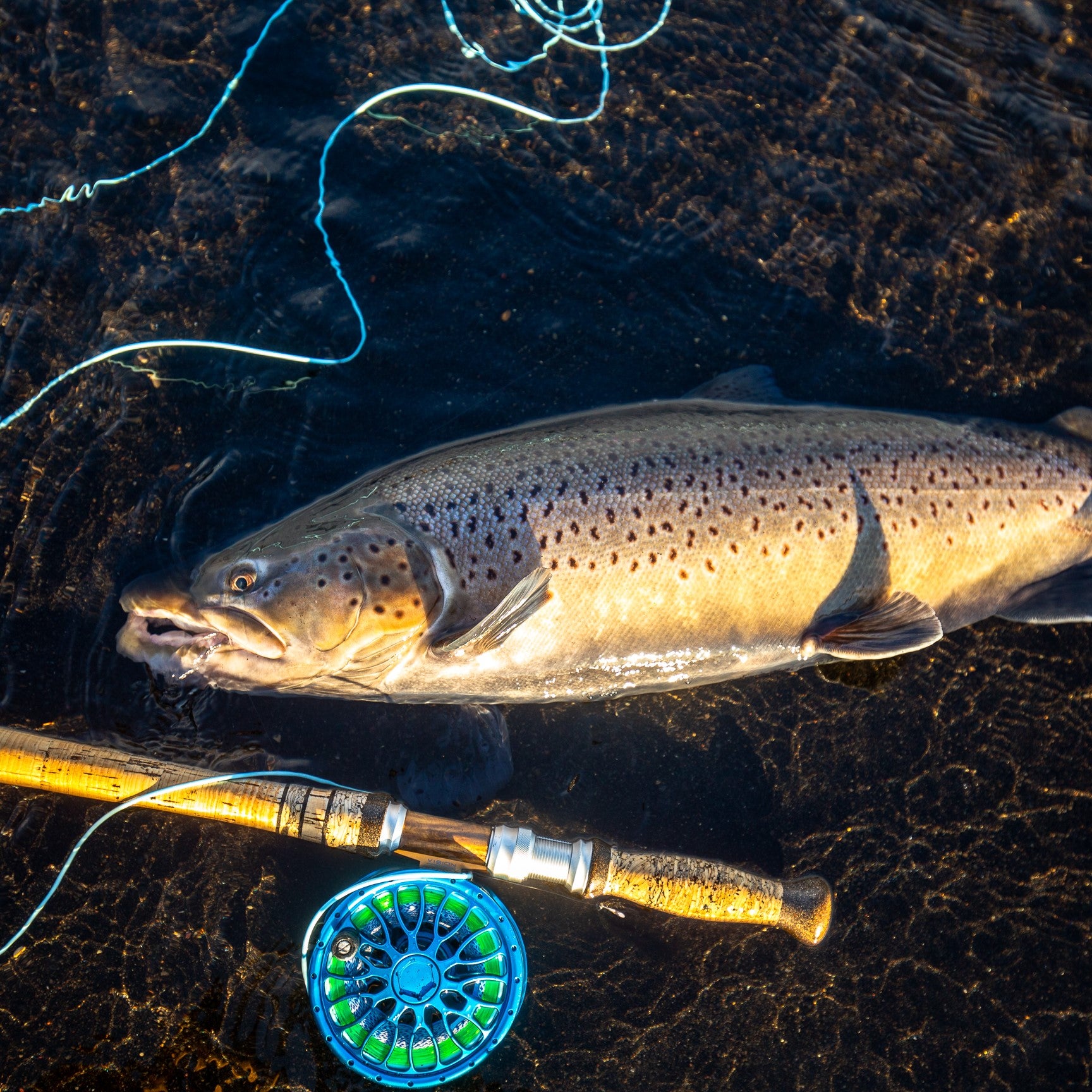 Hybrid Fly Line – Vision Fly Fishing