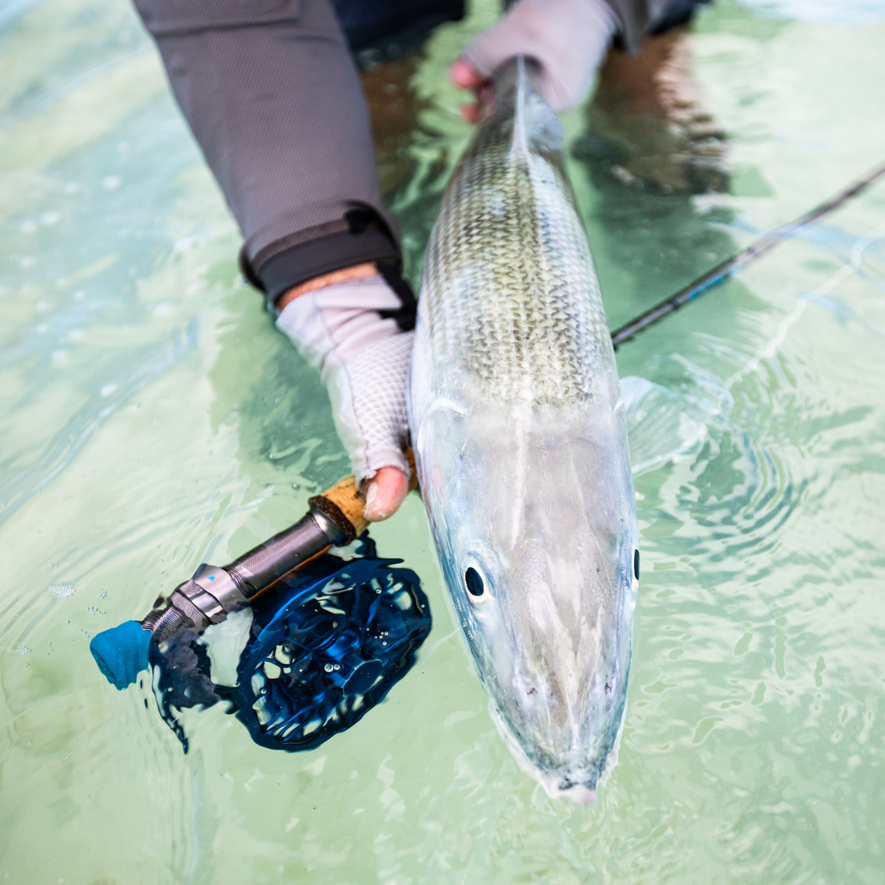 Meri Fly Rod – Vision Fly Fishing