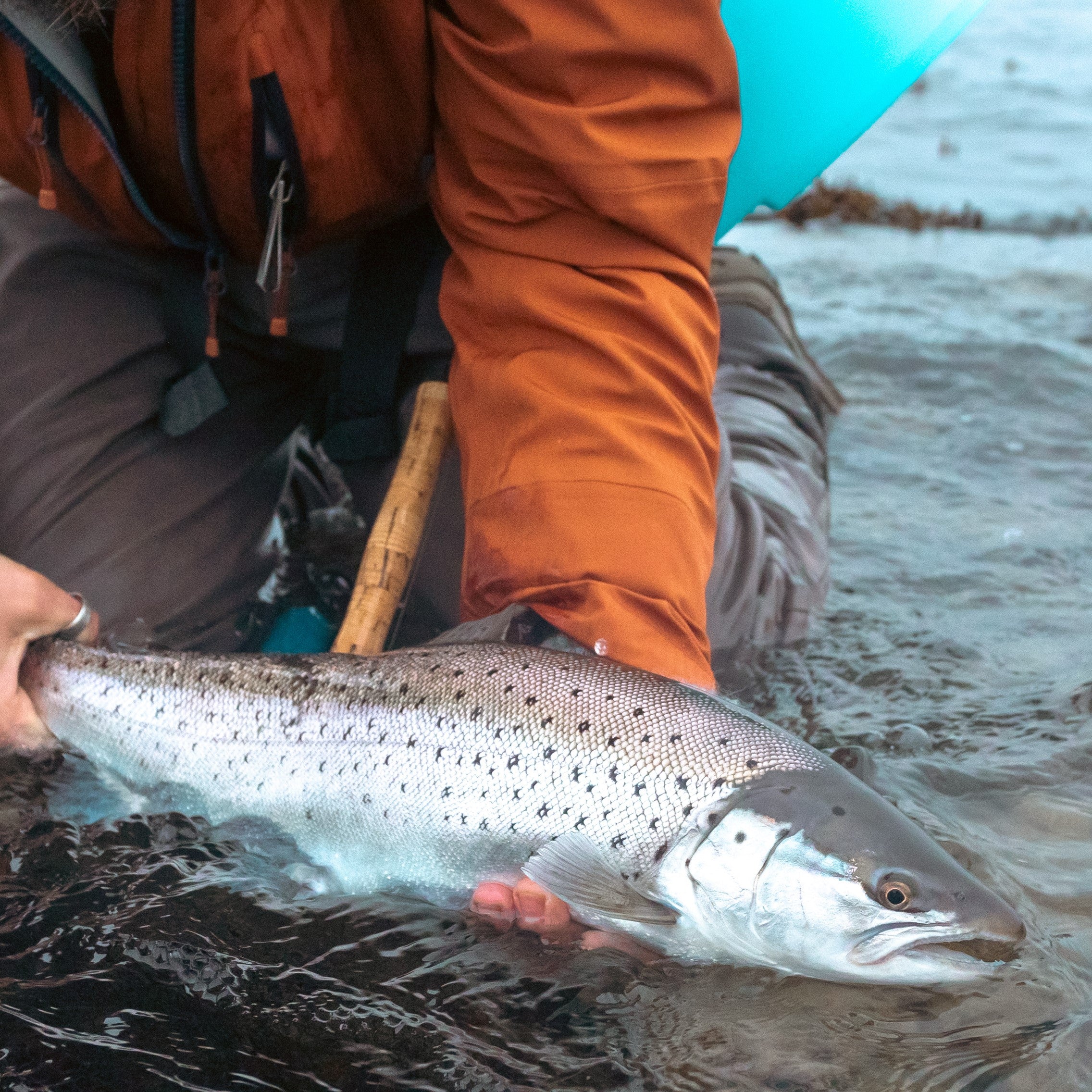 Meri Fly Line – Vision Fly Fishing