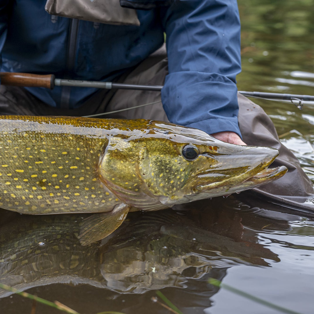 Vision Fly Fishing | Official Site