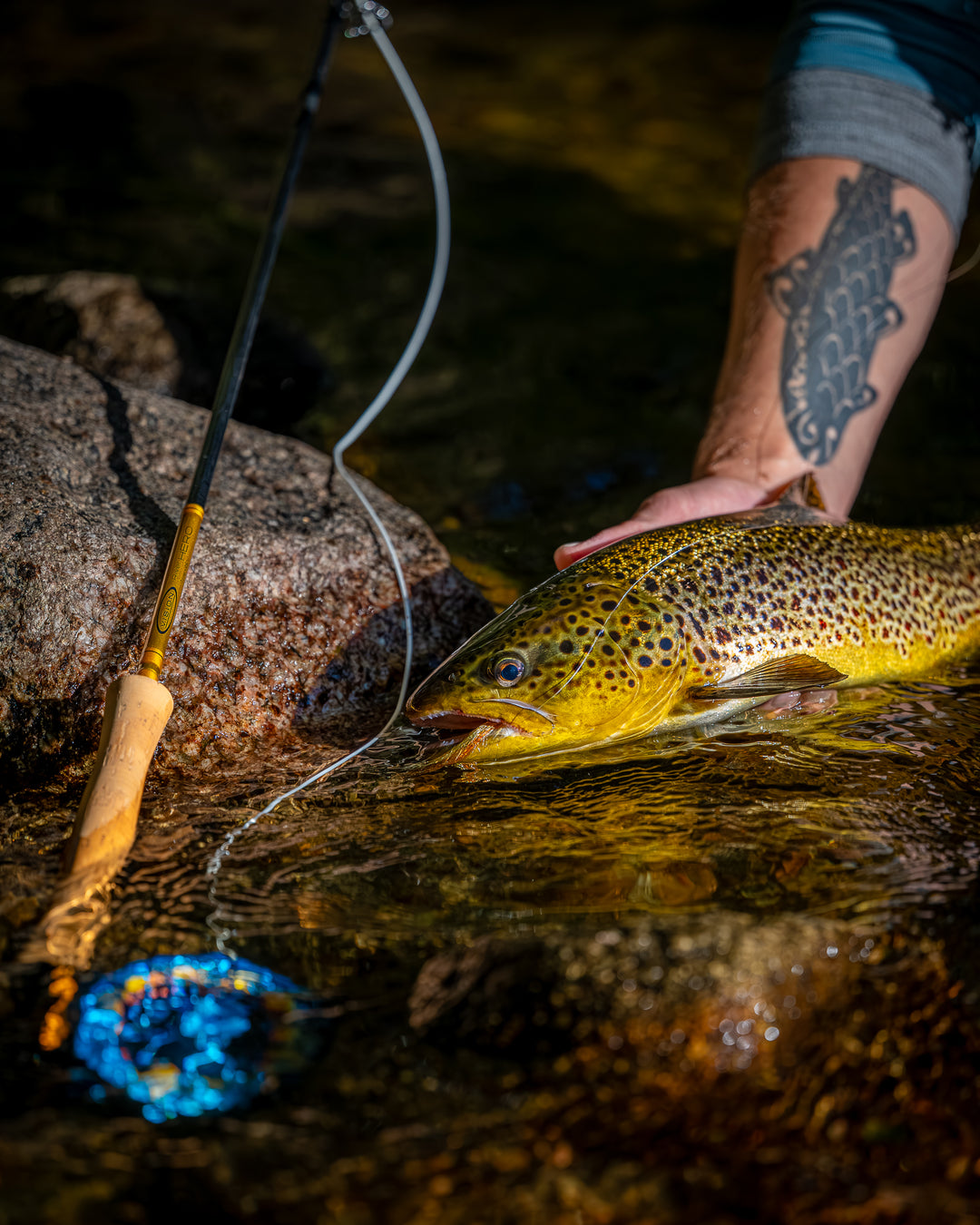 Trout Hero² Fly Rod – Vision Fly Fishing