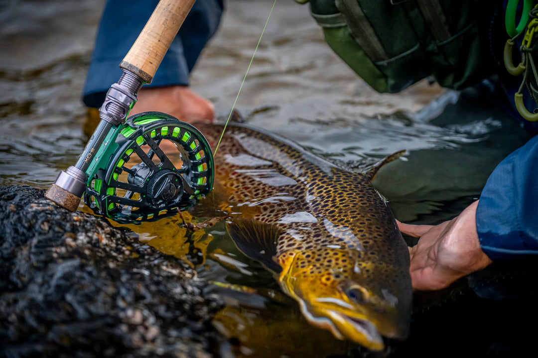 Vision Fly Fishing | Official Site