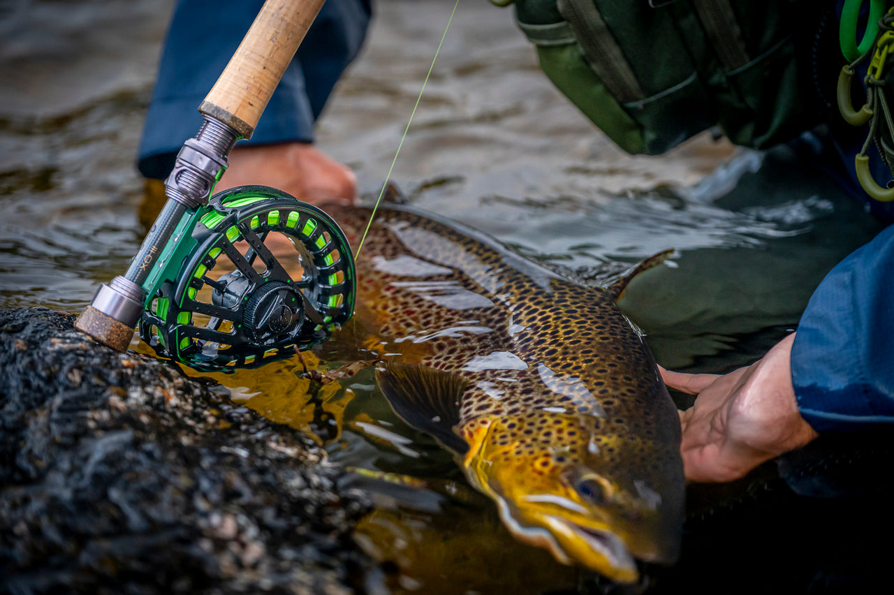 Vision Fly Fishing | Official Site